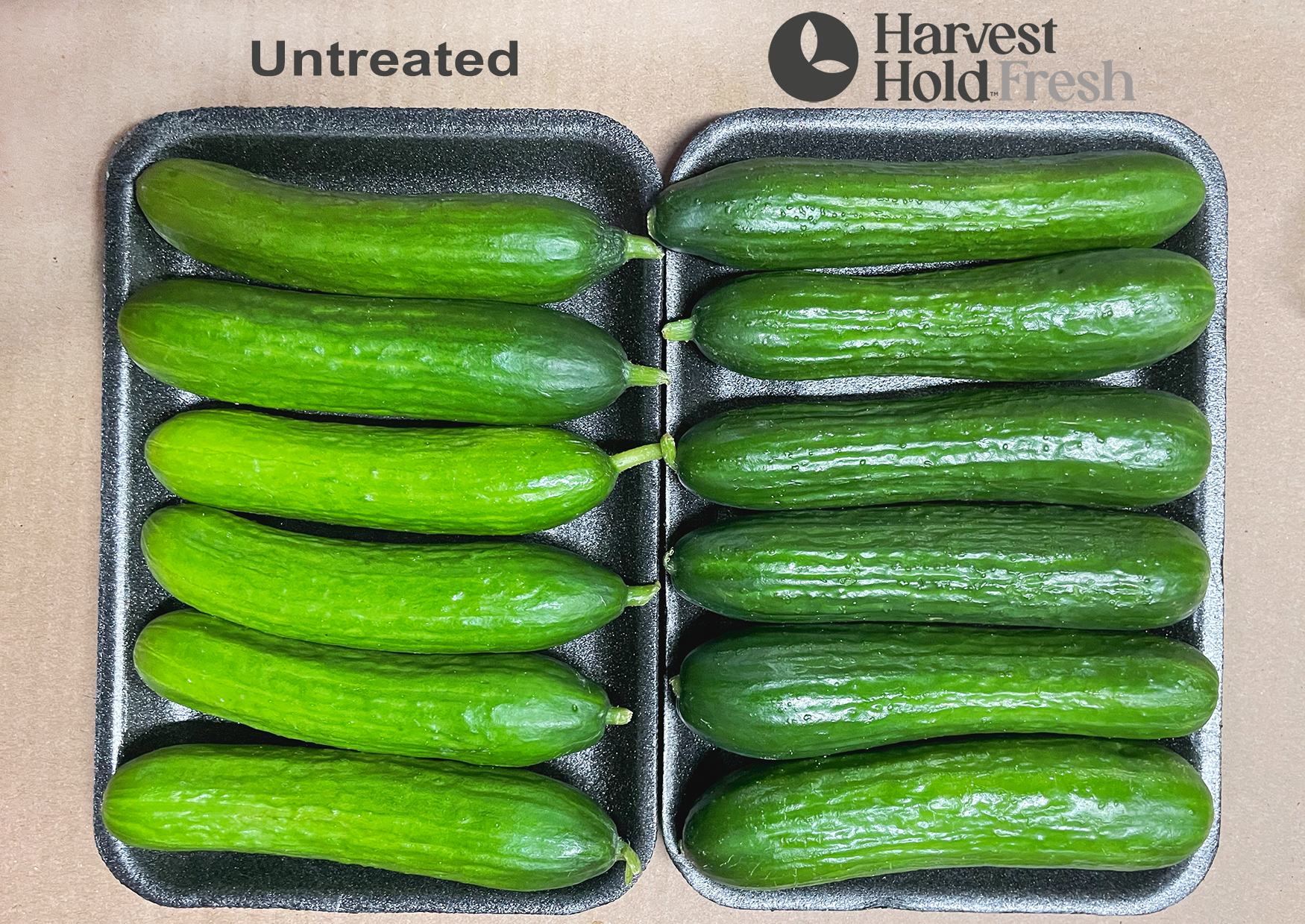 Verdant Technologies Unveils Innovation Lab - Verdant Technologies